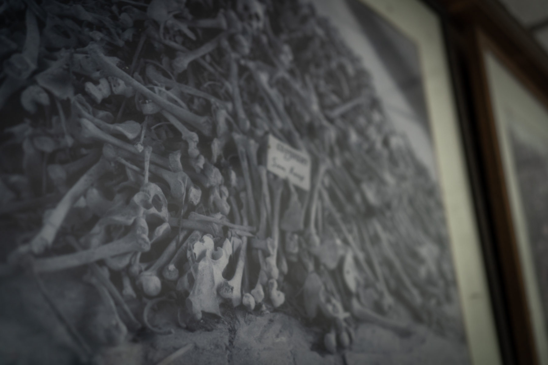 Khmer Rouge myths still reign in northern Cambodia - Coda Story