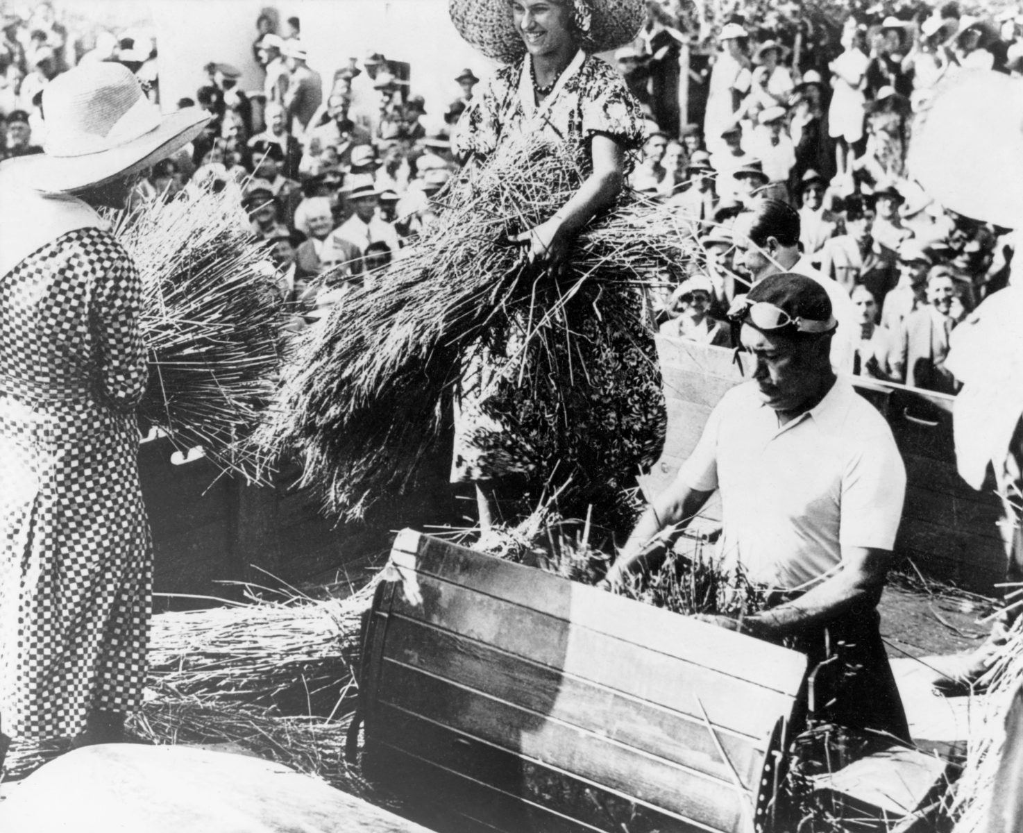 The Indian migrants lured into forced labor on Mussolini's farmland ...