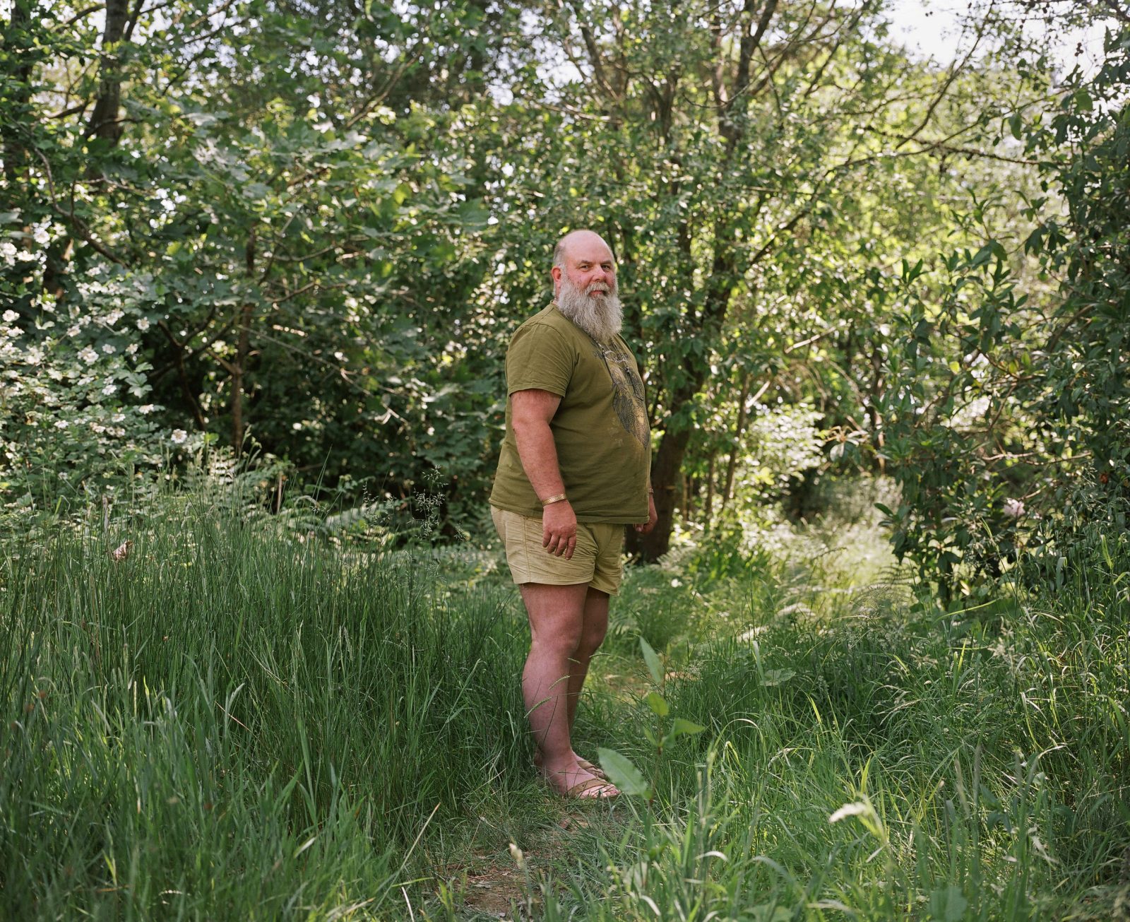 The secret movement bringing Europe’s wildlife back from the brink ...