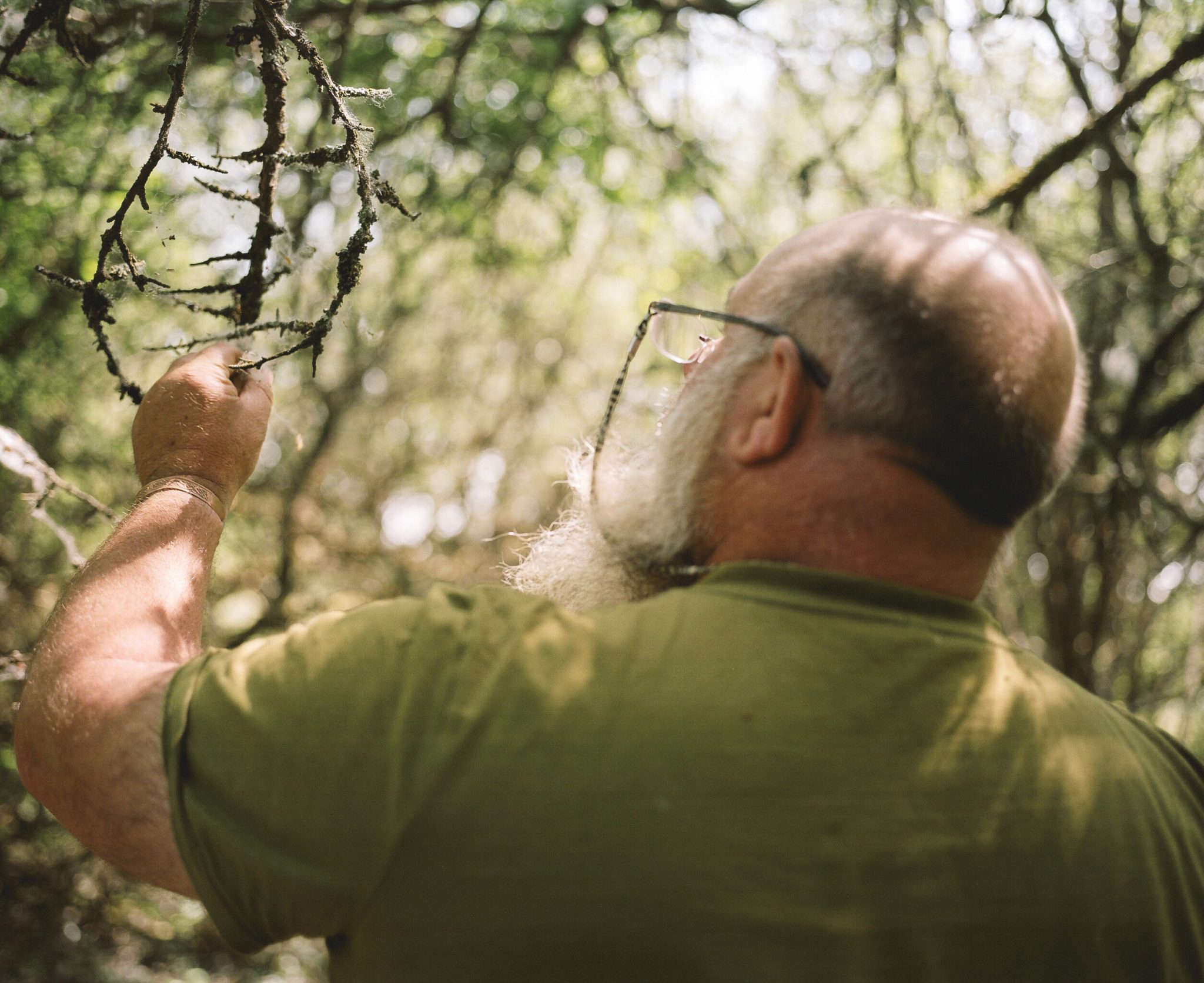 The secret movement bringing Europe’s wildlife back from the brink ...