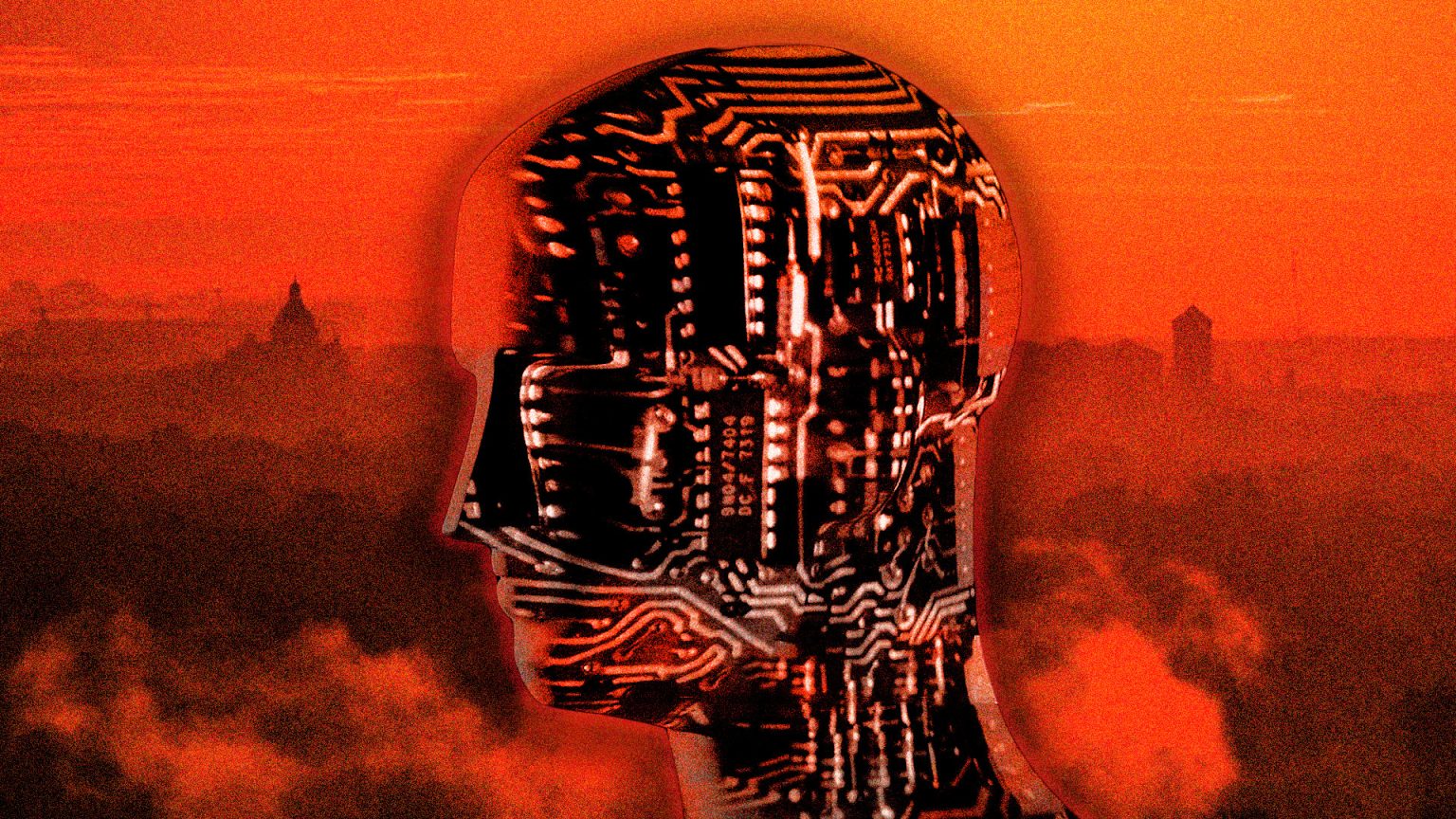 Life on Earth, after humans - Coda Story